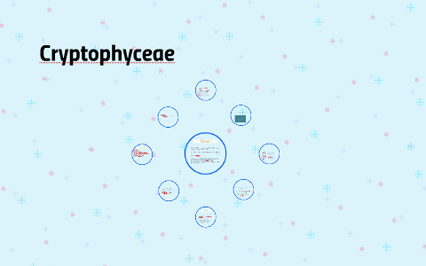 Cryptophyceae by alberto miranda on Prezi