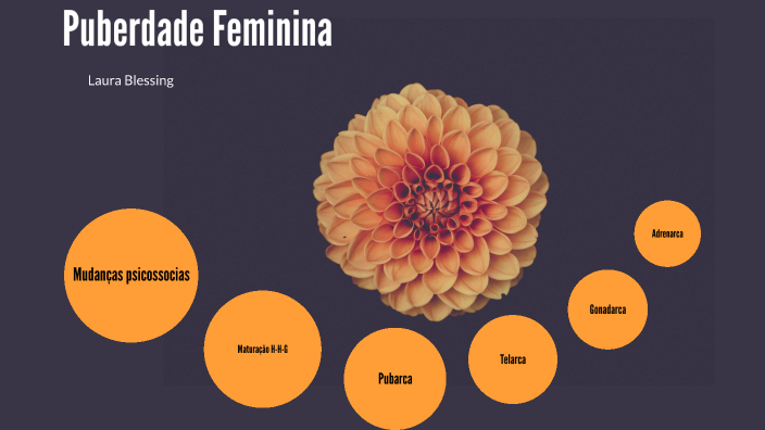 Puberdade Feminina by LAURA BLESSING SILVA on Prezi