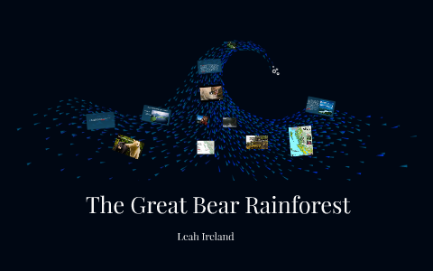 The Great Bear Rainforest by Leah I. on Prezi