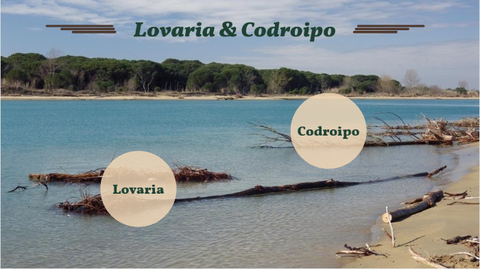 Lovaria & Codroipo by alice agostino on Prezi