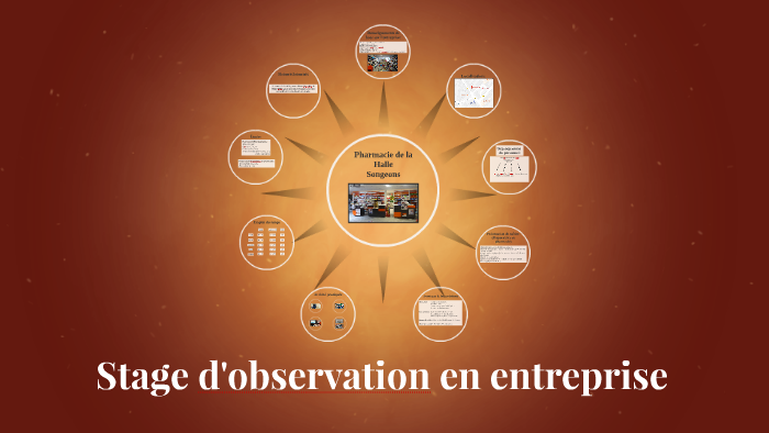 Stage d'observation en entreprise by jeanne tapissier on Prezi