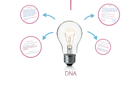 DNA by Becky Spinks on Prezi