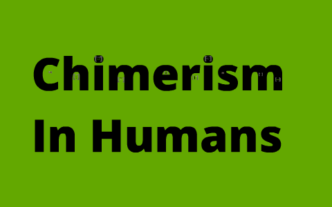 Chimerism In Humans by Steven Vinolas