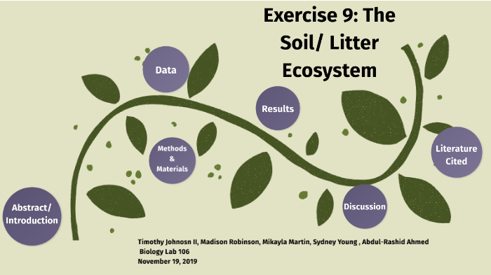 Exercise 9: The Soil/ Litter Ecosystem by Timothy Johnson on Prezi
