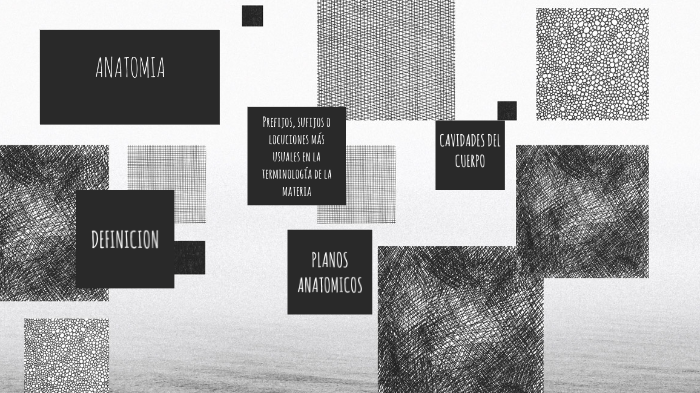 Anatomía by Mario Emmit Esquivel on Prezi