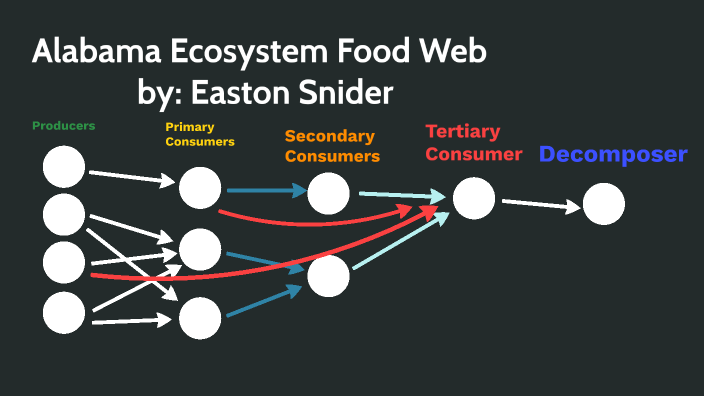 Alabama Ecosystem Food Web by Easton Snider on Prezi