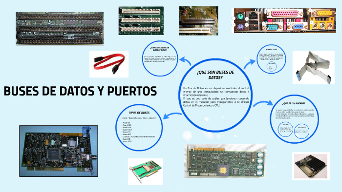 BUSES DE DATOS Y PUERTOS by Sofii Suarez on Prezi