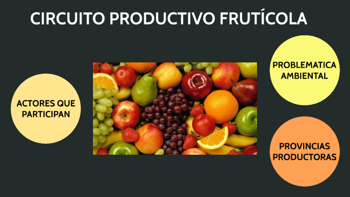CIRCUITO PRODUCTIVO FRUTICOLA by Gino Cicchini on Prezi