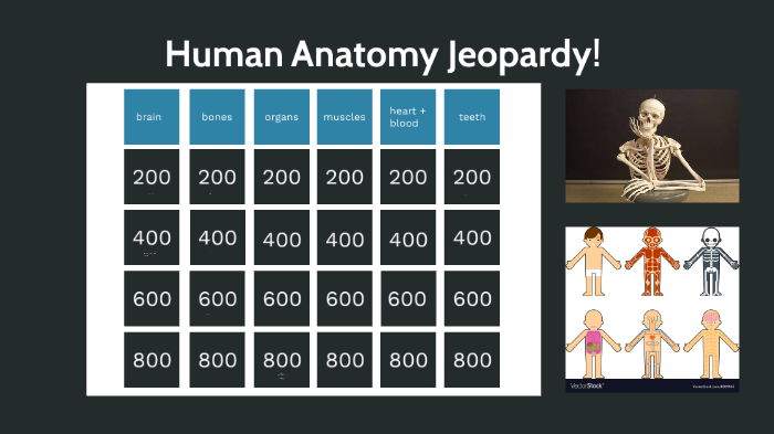 Human Anatomy Jeopardy by Geraldine Mack on Prezi