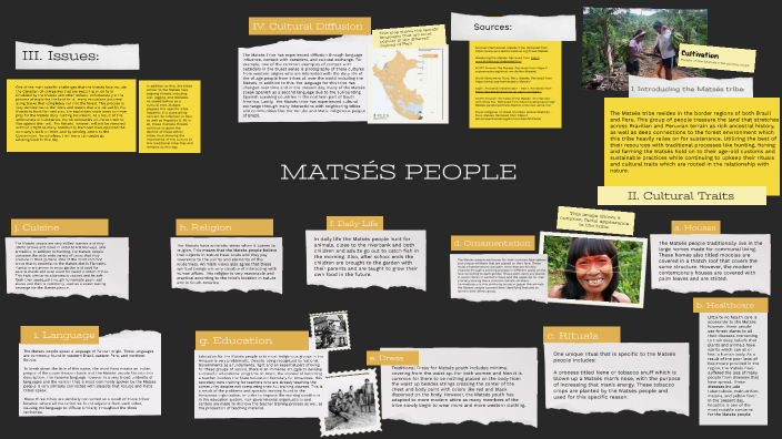 Traditional Cultures: Matsés people by ALYSSA AVERY on Prezi