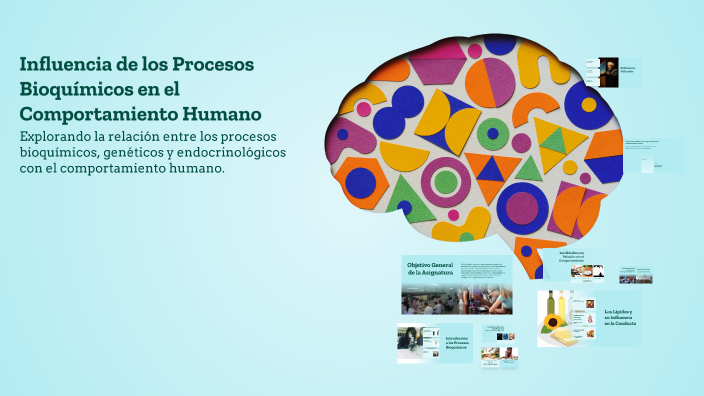 Influencia de los Procesos Bioquímicos en el Comportamiento Humano by ...