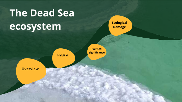 The Dead Sea Ecosystem by Michal Freikman on Prezi