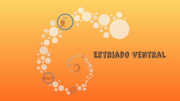 Estriado Ventral by Sylerak Granda on Prezi