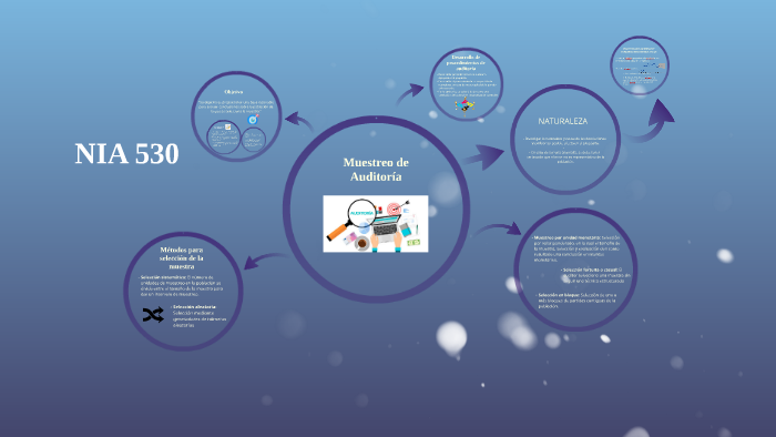 NIA 530 "Muestreo de Auditoria" by Jocho saavedra