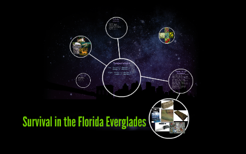 Survival in the Florida Everglades by Hailey Millard on Prezi
