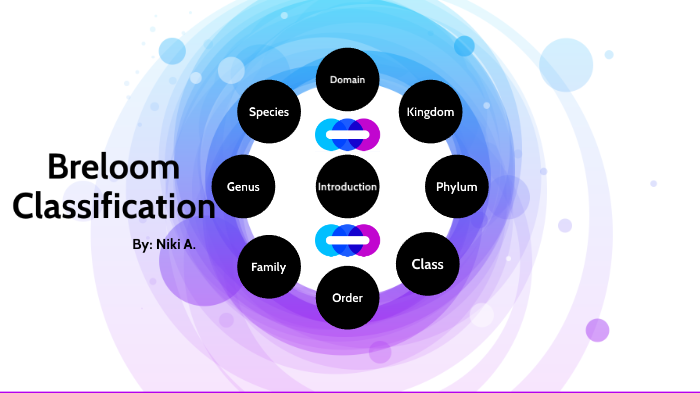 Pokemon Classification by Niki Antoney on Prezi