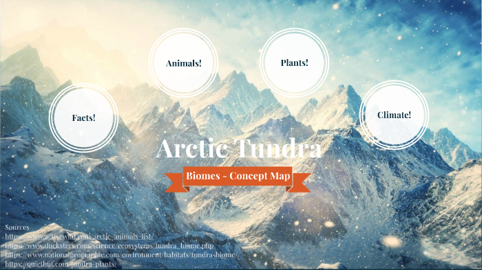 Biomes - Concept Map by Lydia Wilbon on Prezi