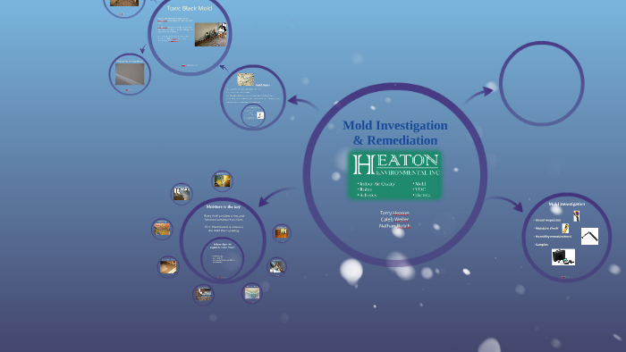 Mold can be a REALLY BIG problem! by nathan rusch on Prezi