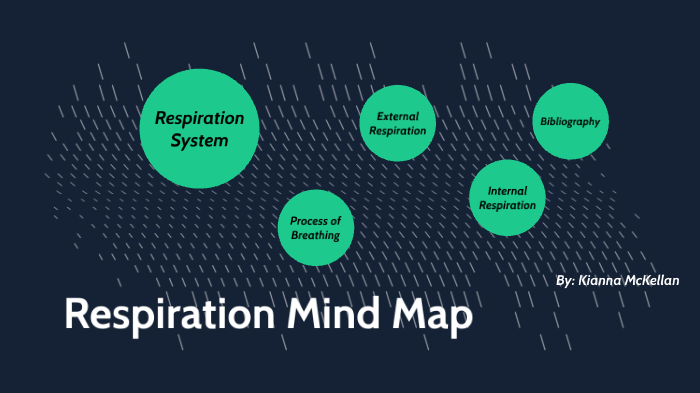 Respiration Mind Map by Kianna McKellan on Prezi
