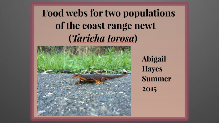 Stable Isotope Food Web Comparison for Two Local Populations by abbey ...
