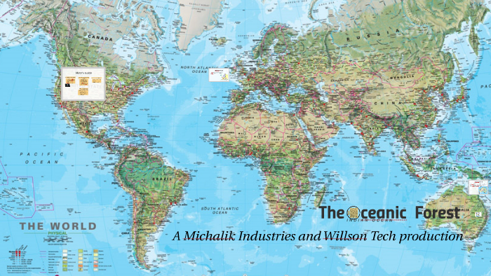 The Oceanic Forest by Stevie Michalik on Prezi