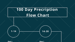 100 Day FlowChart by Casey Cardoso on Prezi Design