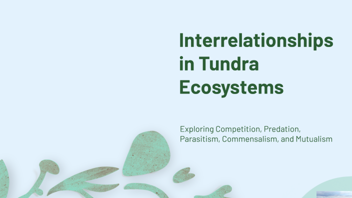 Interrelationships in Tundra Ecosystems by Fiona Gong on Prezi