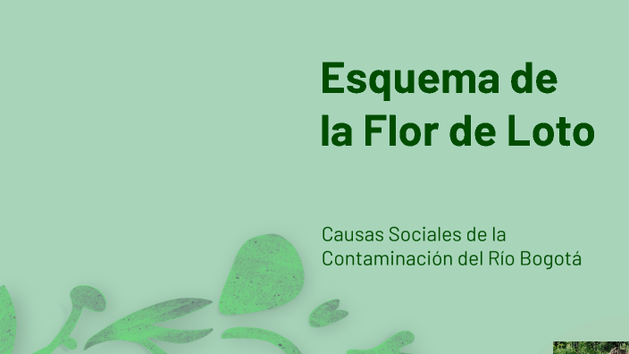 Esquema de la Flor de Loto by Brigitte González on Prezi