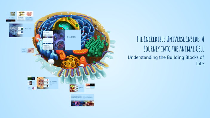 The Incredible Universe Inside: A Journey into the Animal Cell by ...