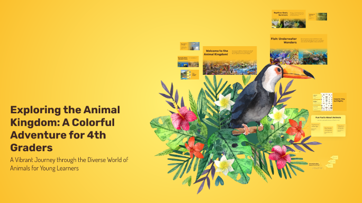 Exploring the Animal Kingdom: A Colorful Adventure for 4th Graders by 殤 ...