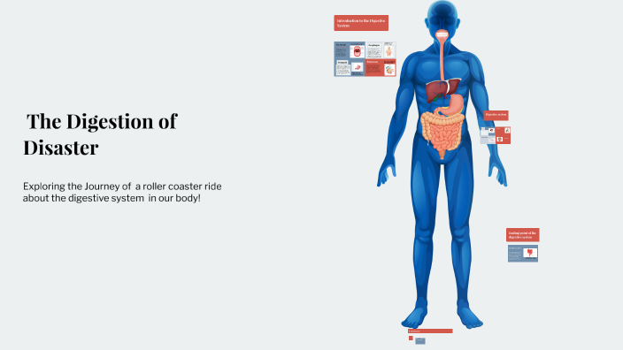 The Science Behind the Roller Coaster of the Digestive System by Amelia ...