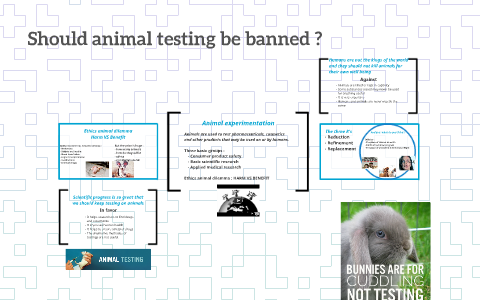 Should animal testing be banned ? by Charlotte Galliot on Prezi