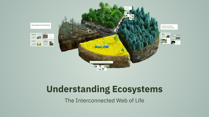 Understanding Ecosystems by Grace Soria on Prezi