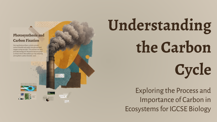 Understanding the Carbon Cycle by Sacha Briot on Prezi