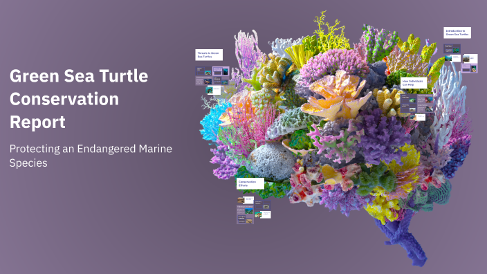 Green Sea Turtle Conservation Report by Lukas Bernal on Prezi
