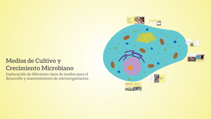 Medios de Cultivo y Crecimiento Microbiano by Allison Crespo Roca on Prezi