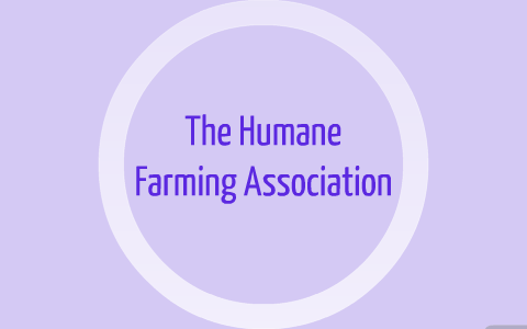 The Humane Farming Association by Paula Zimmermann on Prezi