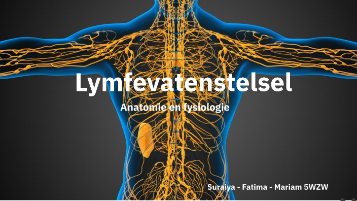 anatomie lymfevaten by Suraiya Nahar on Prezi