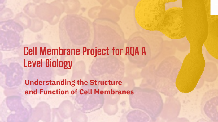 Cell Membrane Project for AQA A Level Biology by firesans 1 on Prezi
