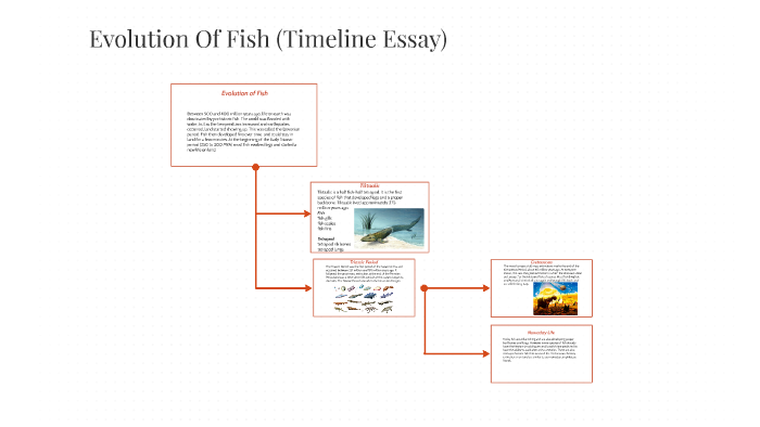 Evolution of Fish to Dinosaur (TimeLine Essay) by Peter Aziz on Prezi