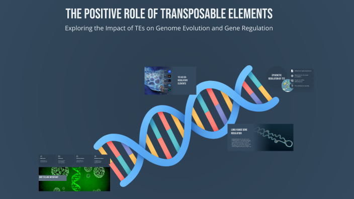 The Positive Role of Transposable Elements by Rabia Arshad on Prezi