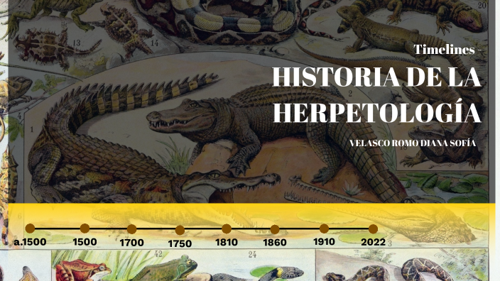 HISTORIA DE LOS REPTILES by Diana Sofía Velasco Romo on Prezi