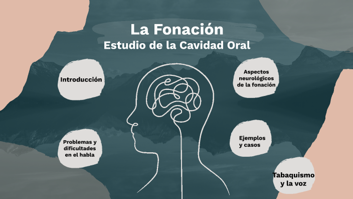 LA FONACIÓN by JULIA APARICIO VICENTE on Prezi