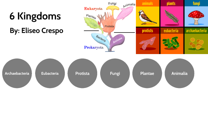 6 Kingdoms by Eliseo Crespo on Prezi