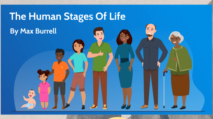 The Stages Of Human Life by Max Burrell on Prezi