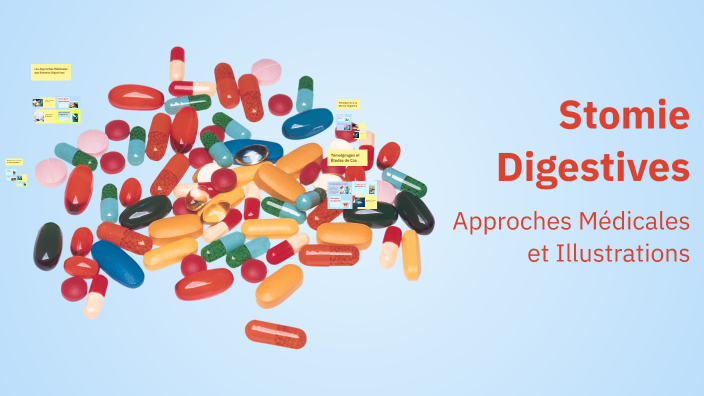 Stomie Digestives by sophie zouari on Prezi