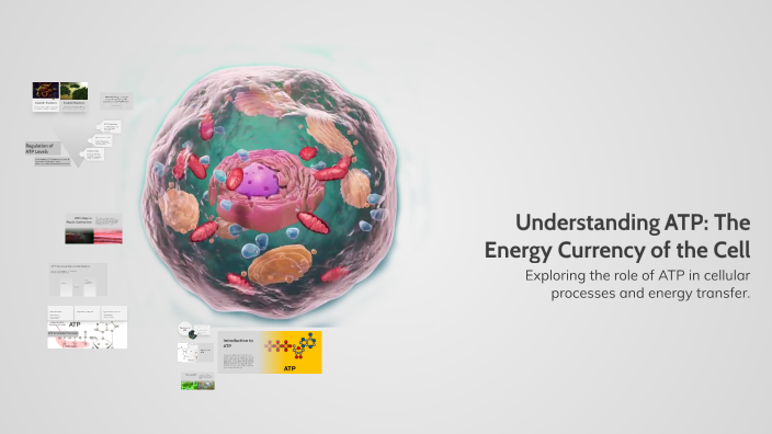 Understanding ATP: The Energy Currency of the Cell by sam stubbs on Prezi