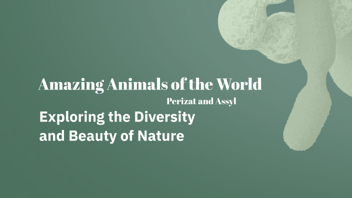 Amazing Animals of the World by Perizat Aibekkyzy on Prezi