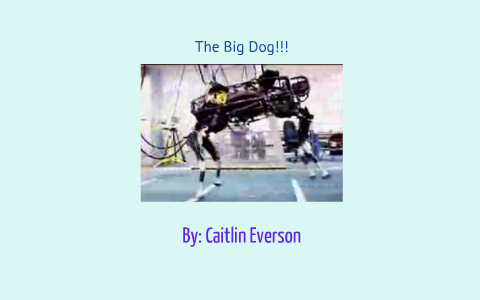 science project- bigdog by Caitlin Everson on Prezi