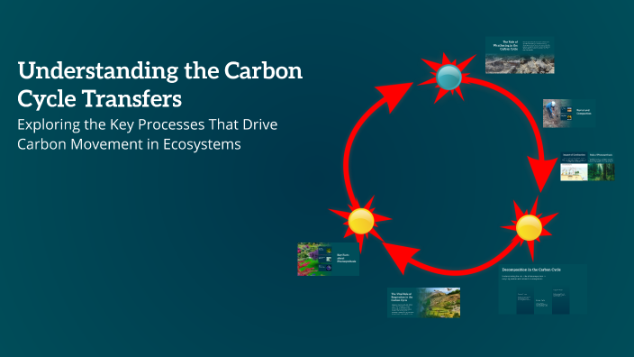 Understanding the Carbon Cycle Transfers by Dango Lands on Prezi